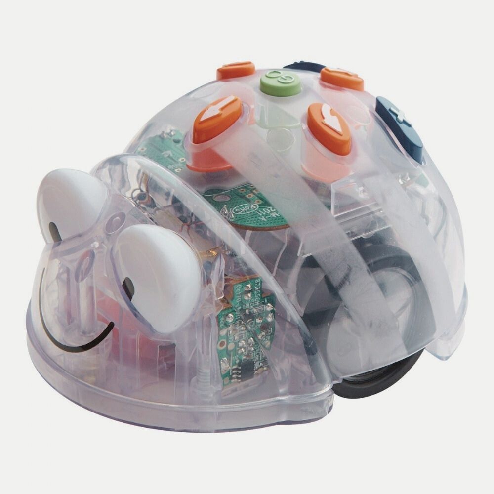 Blue-Bot Robot programmable | STEMBOTS Maroc